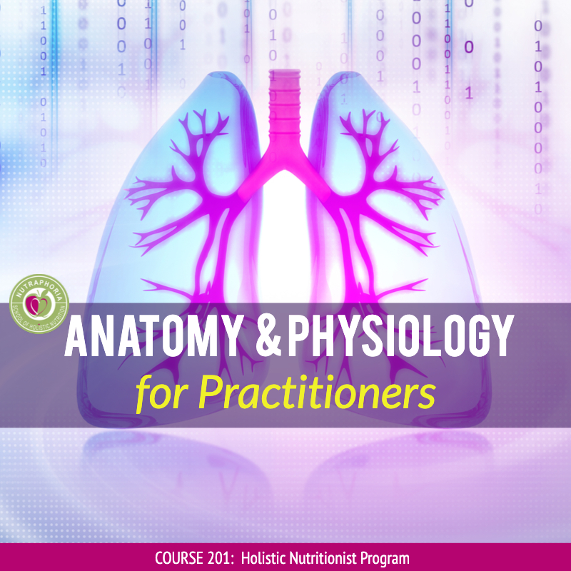 Anatomy Certification Program Clinical Anatomy Certificate