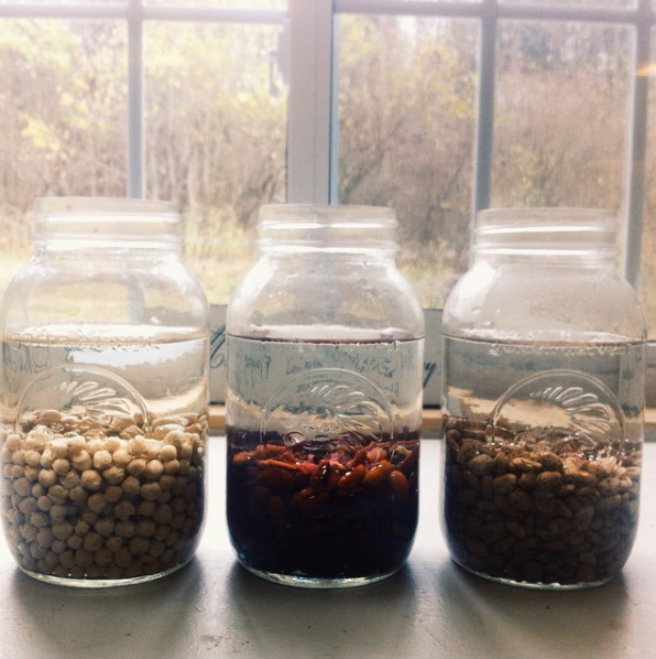Benefits of Soaking And Cooking Your Own Legumes - NutraPhoria ...