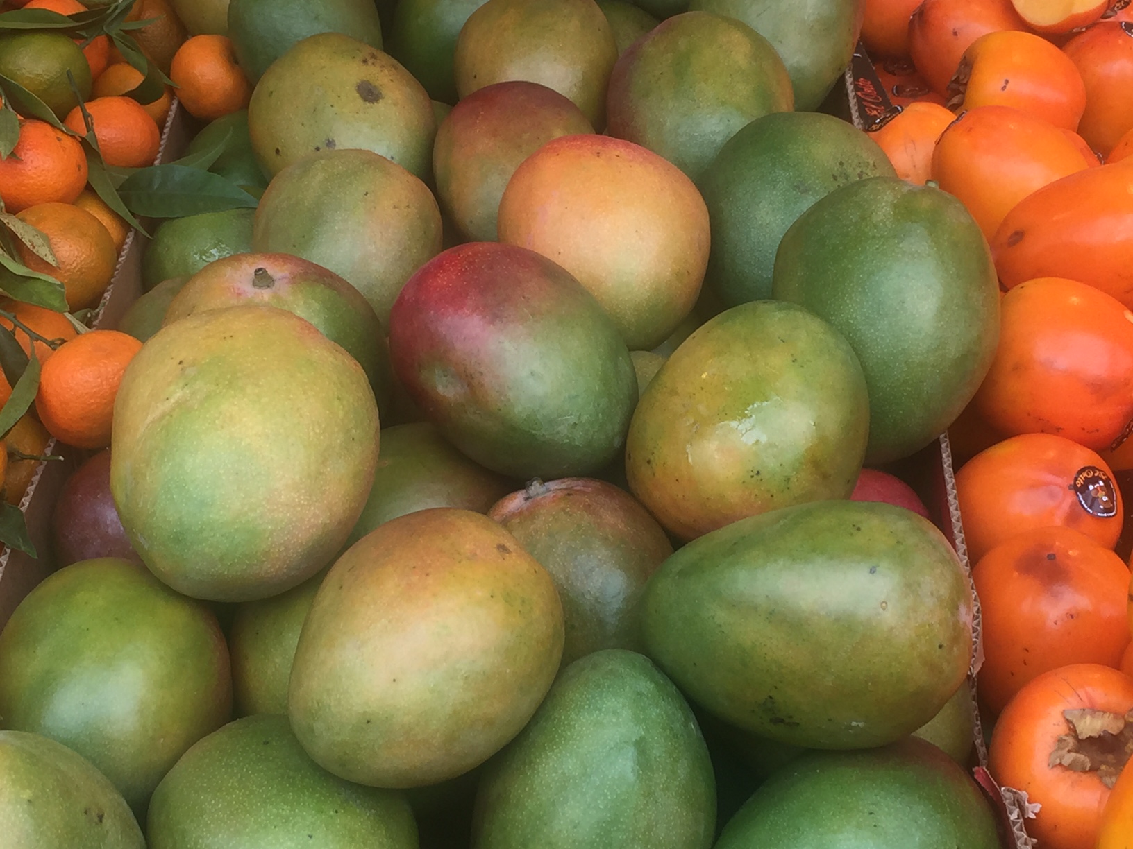 Food As Medicine - Mango Reigns Supreme - NSHN
