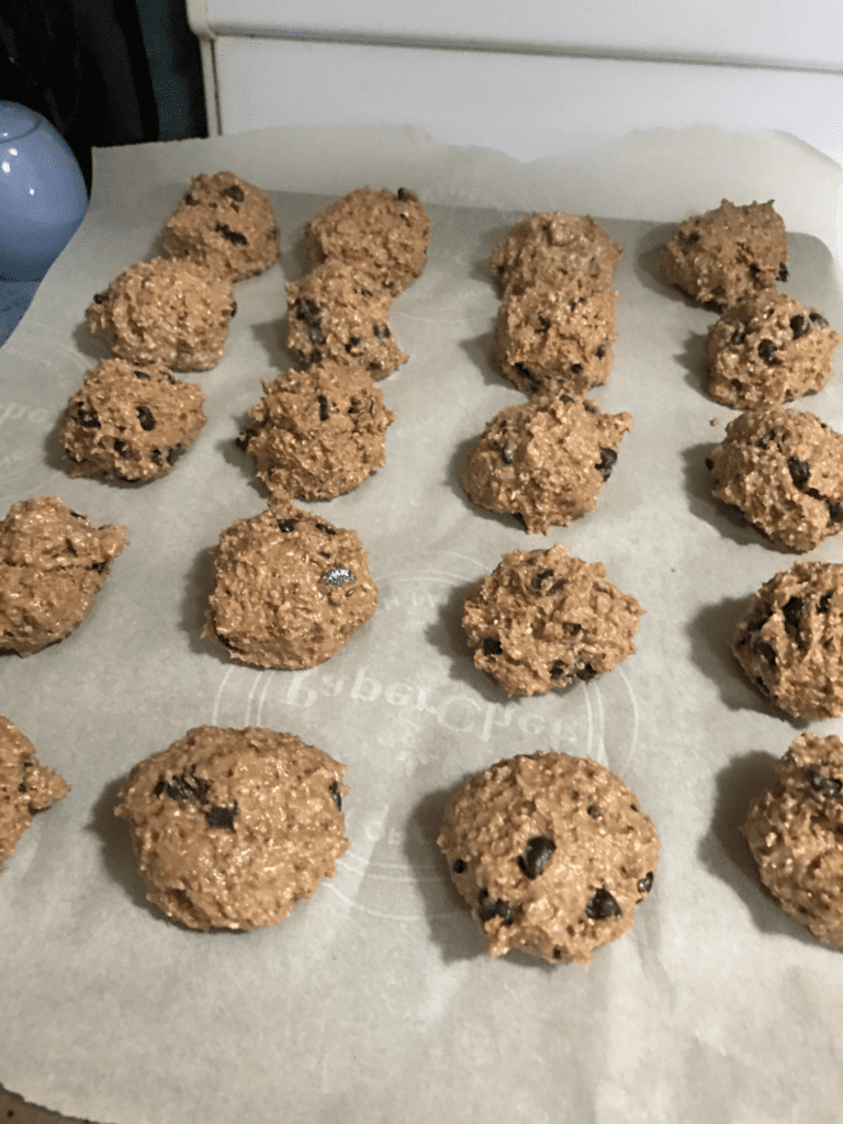 Protein Energy Balls - NutraPhoria Integrative Health Institute